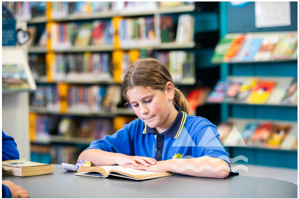 Capability and Literacy Examples by Learning Area