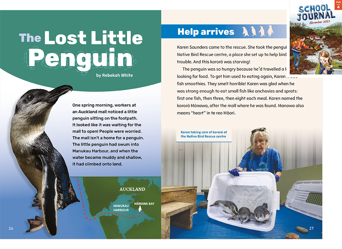 The Lost Little Penguin