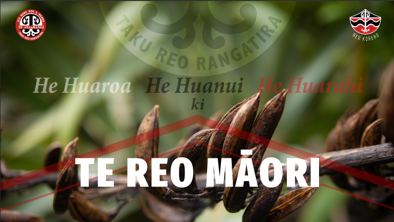 Te Kura Raunui – Te Reo Māori Training